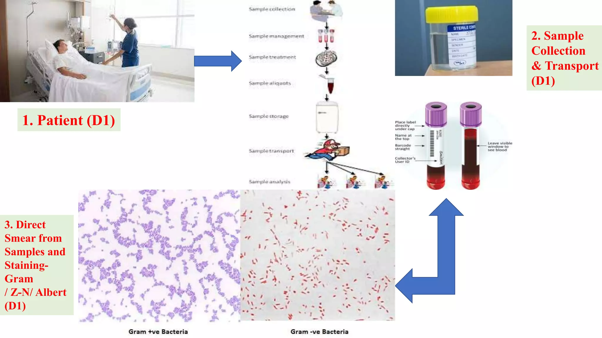 Biochemical tests for bacterial identification | PPTX