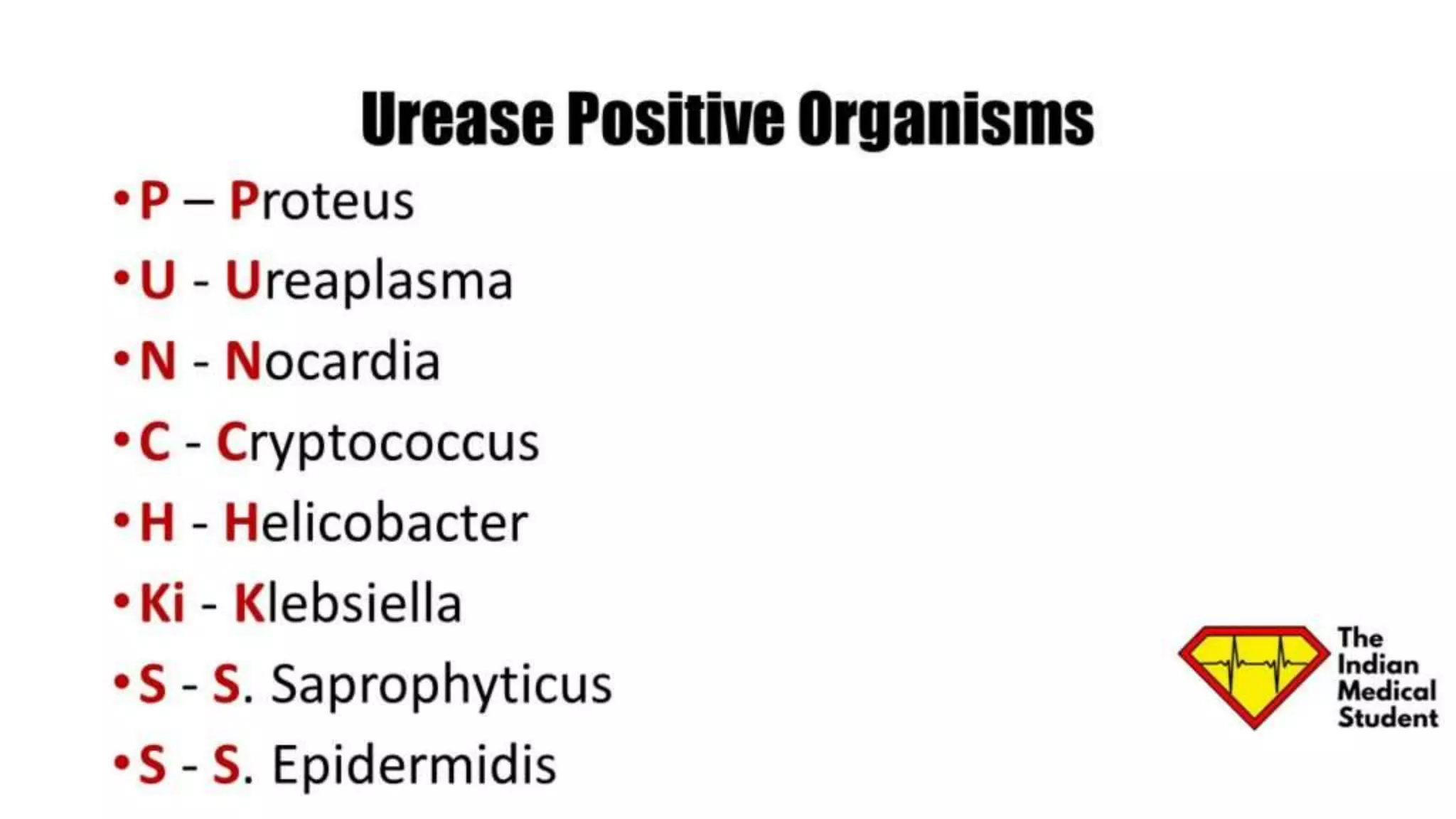 Biochemical tests for bacterial identification | PPTX