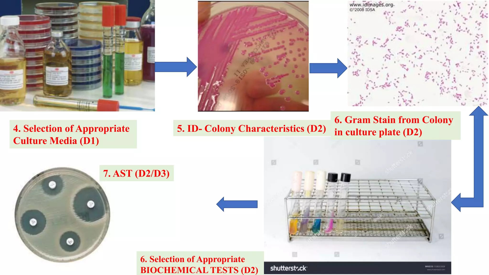 Biochemical tests for bacterial identification | PPTX