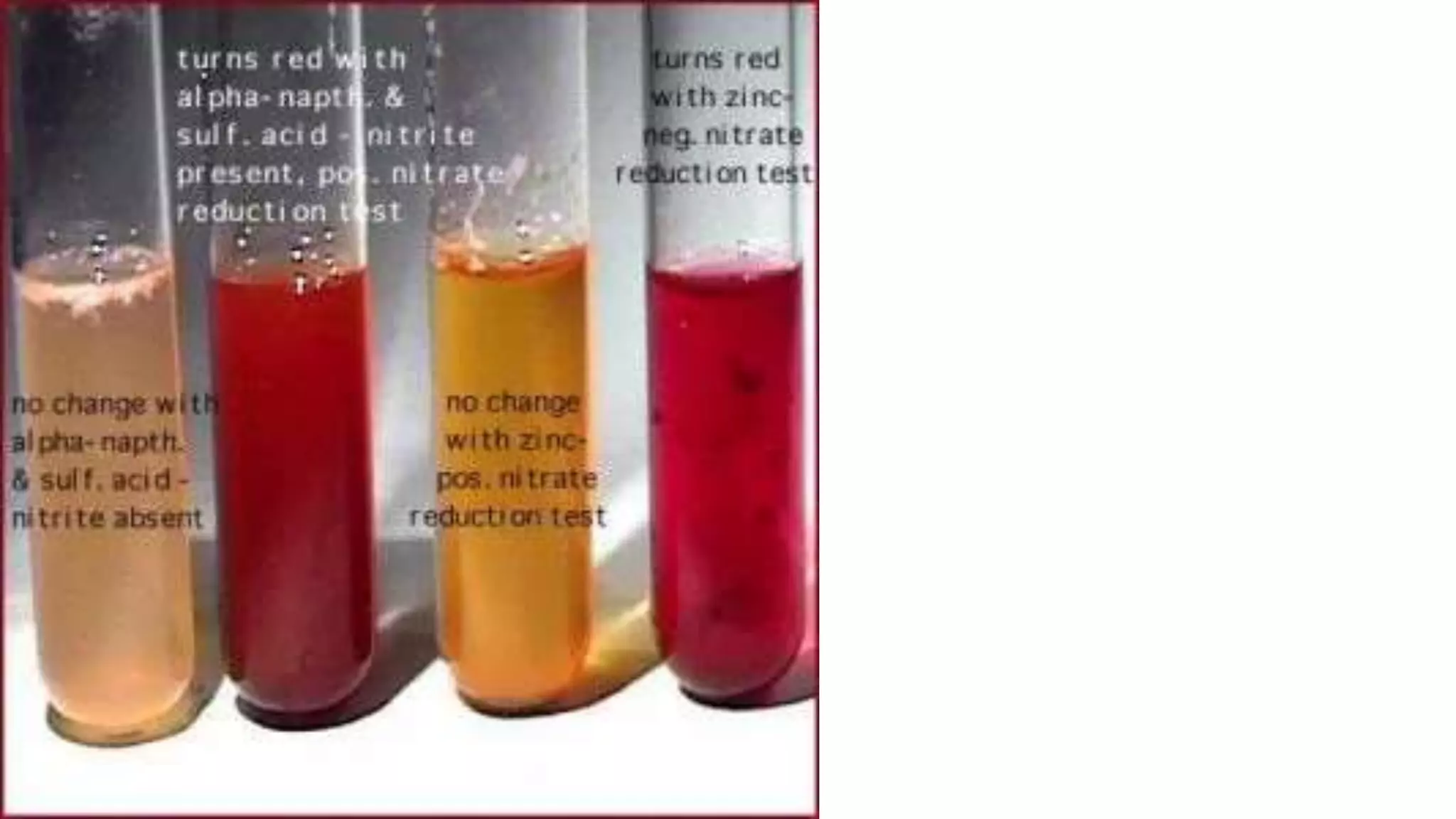 Biochemical tests for bacterial identification | PPTX