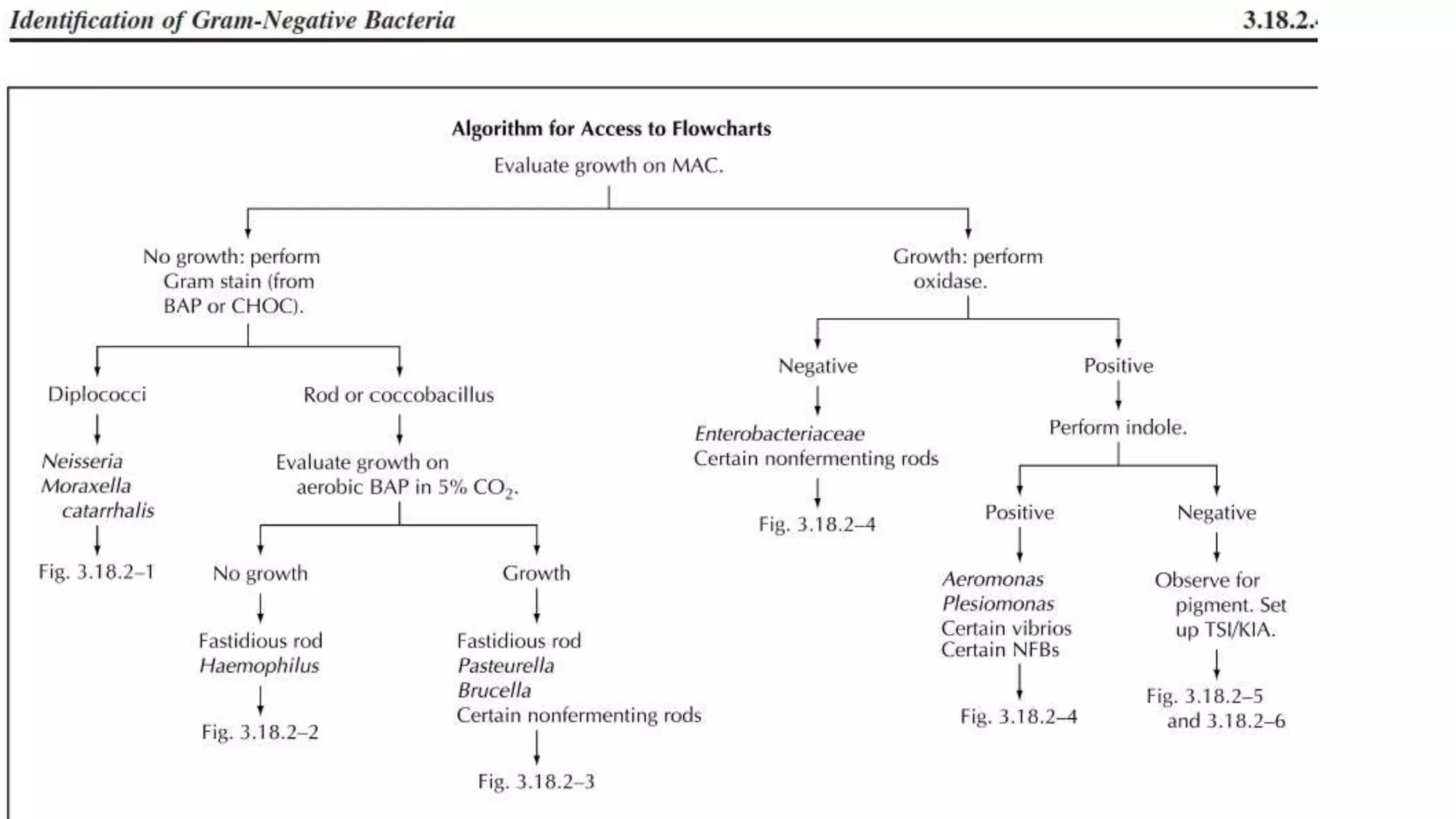 Biochemical tests for bacterial identification | PPTX