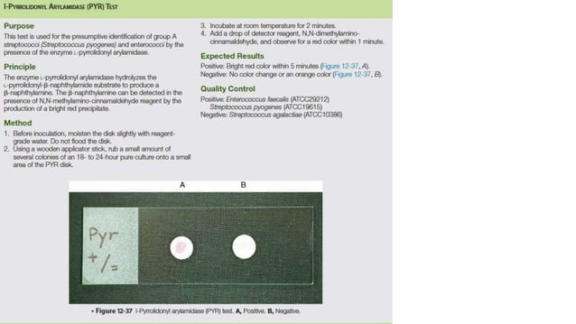 Biochemical tests for bacterial identification | PPTX | Chemistry | Science