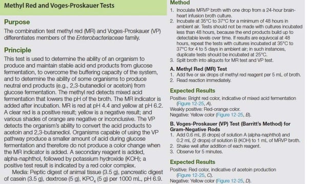 Biochemical tests for bacterial identification | PPTX | Chemistry | Science