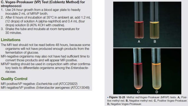 Biochemical tests for bacterial identification | PPTX | Chemistry | Science