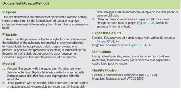 Biochemical tests for bacterial identification | PPTX | Chemistry | Science