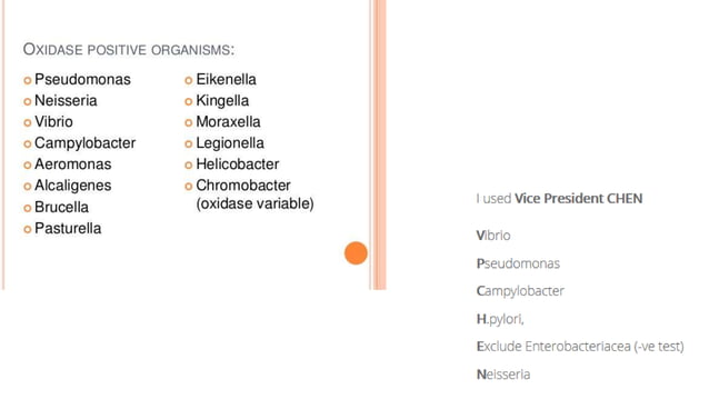 Biochemical tests for bacterial identification | PPTX | Chemistry | Science