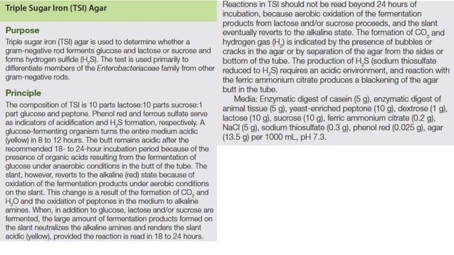 Biochemical tests for bacterial identification | PPTX | Chemistry | Science