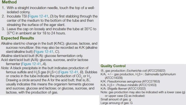 Biochemical tests for bacterial identification | PPTX | Chemistry | Science