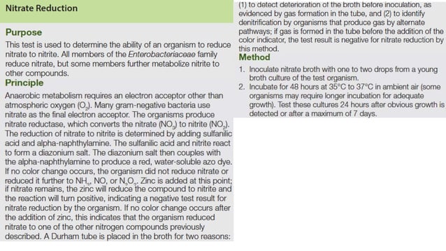 Biochemical tests for bacterial identification | PPTX | Chemistry | Science