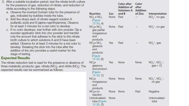 Biochemical tests for bacterial identification | PPTX | Chemistry | Science