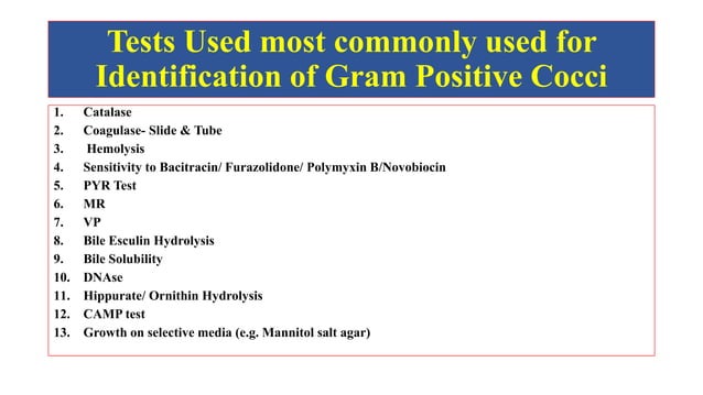 Biochemical tests for bacterial identification | PPTX | Chemistry | Science