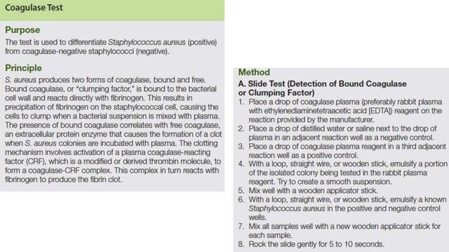 Biochemical tests for bacterial identification | PPTX | Chemistry | Science