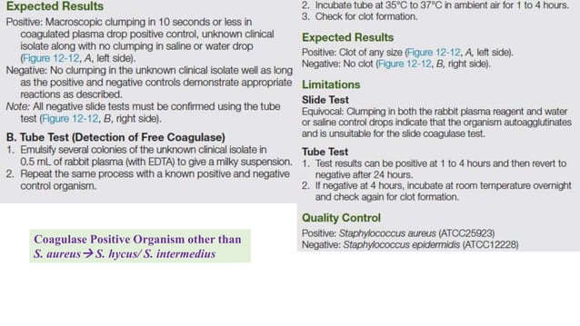 Biochemical tests for bacterial identification | PPTX | Chemistry | Science