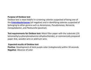 Biochemical tests for characterization of bacteria | PDF