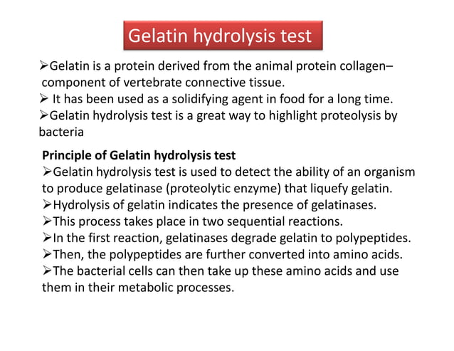 Biochemical tests for characterization of bacteria | PDF