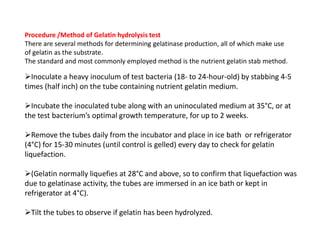 Biochemical tests for characterization of bacteria | PDF
