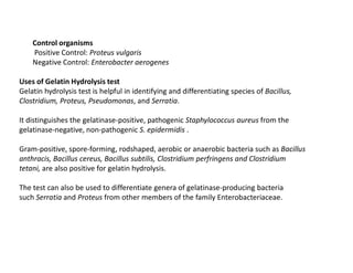 Biochemical tests for characterization of bacteria | PDF