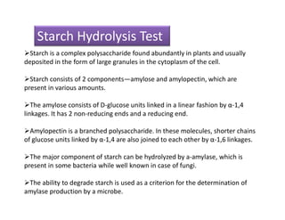 Biochemical tests for characterization of bacteria | PDF