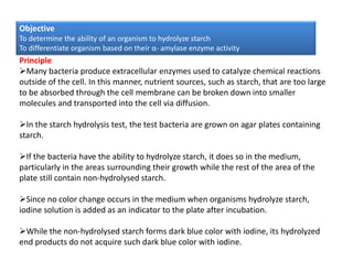 Biochemical tests for characterization of bacteria | PDF
