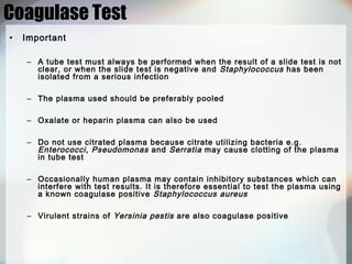 Biochemical tests for gram positive cocci | PPT