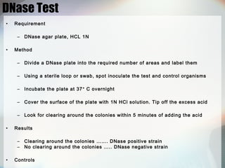 Biochemical tests for gram positive cocci | PPT
