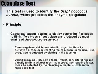 Biochemical tests for gram positive cocci | PPT