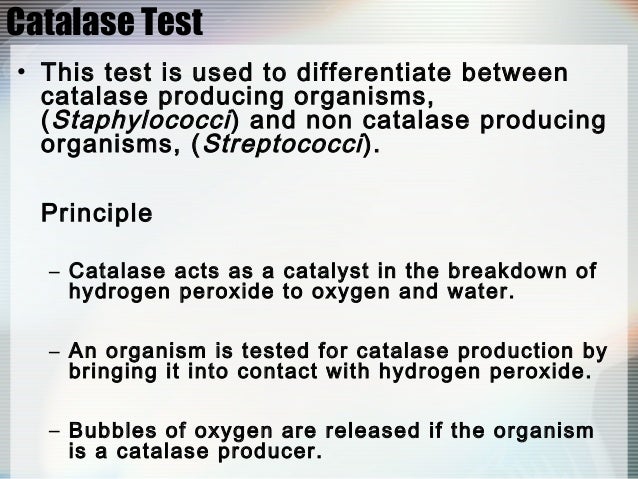 Biochemical tests for gram positive cocci