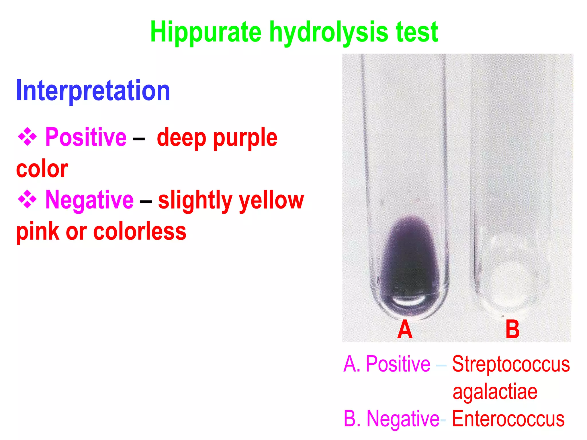 Biochemical tests for identification of bacteria | PPT