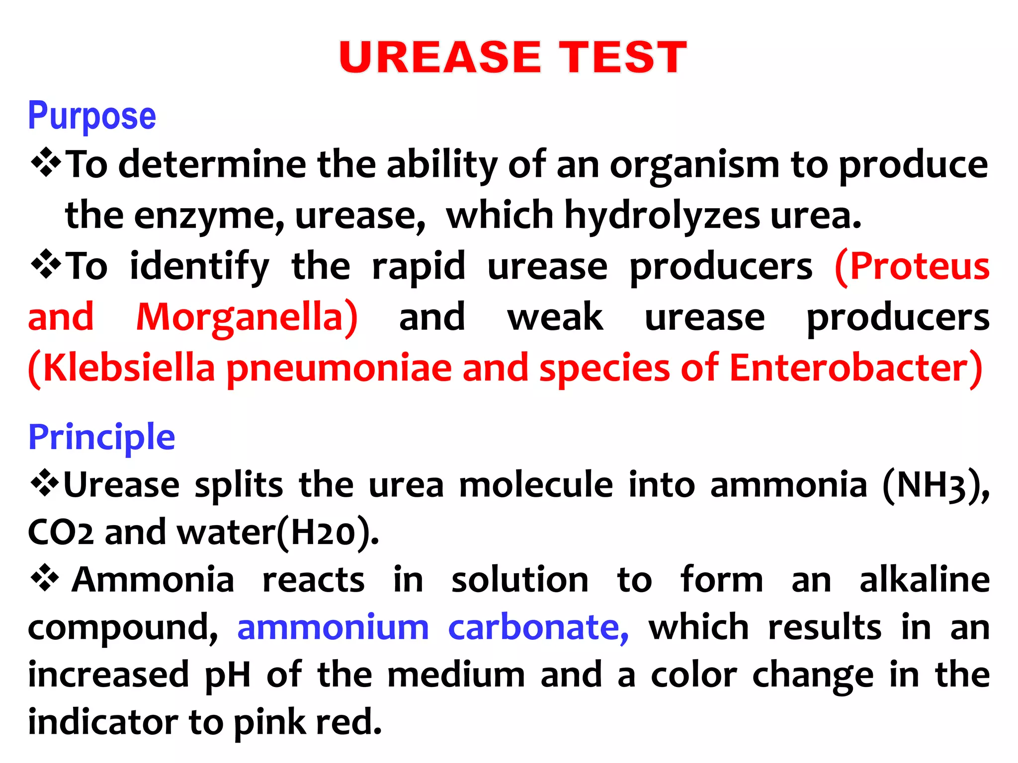 Biochemical tests for identification of bacteria | PPT