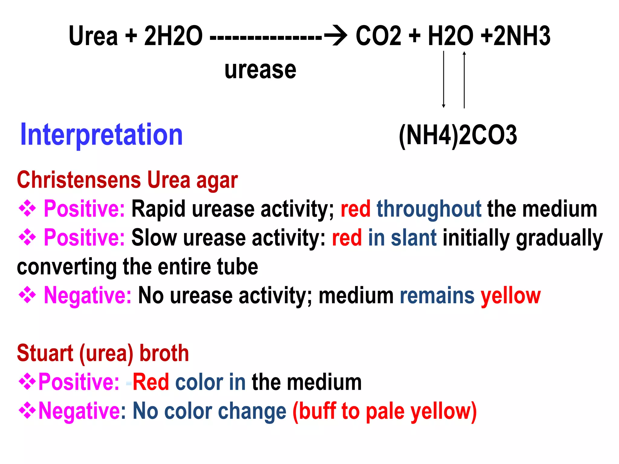 Biochemical tests for identification of bacteria | PPT | Blood ...