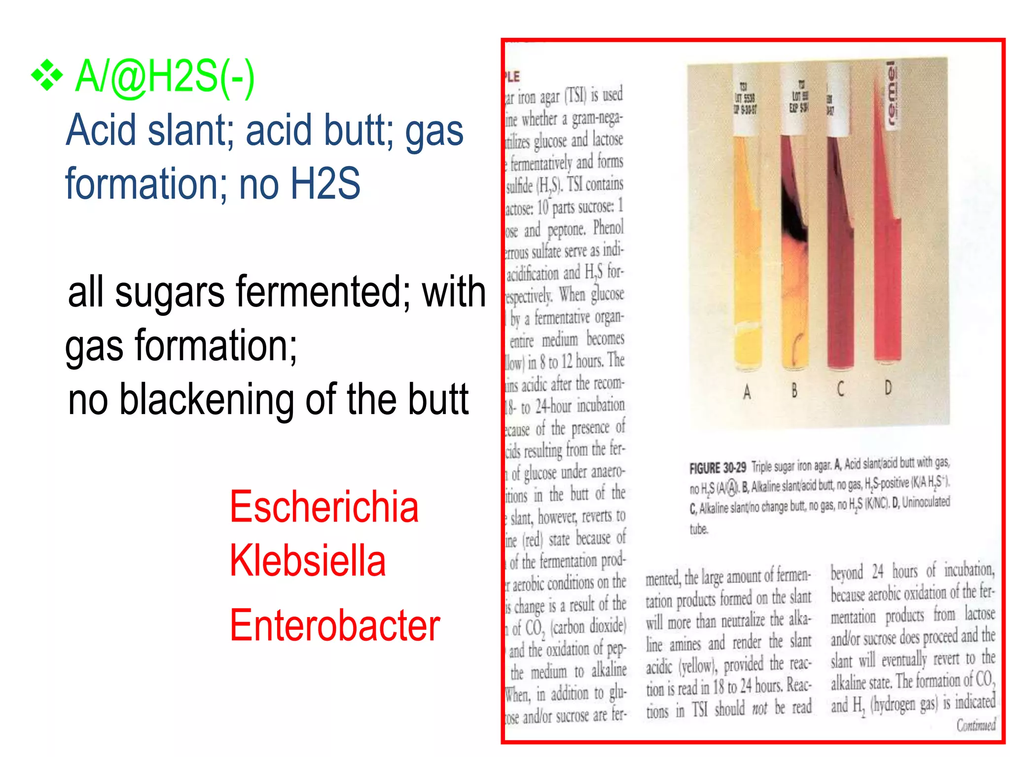Biochemical tests for identification of bacteria | PPT