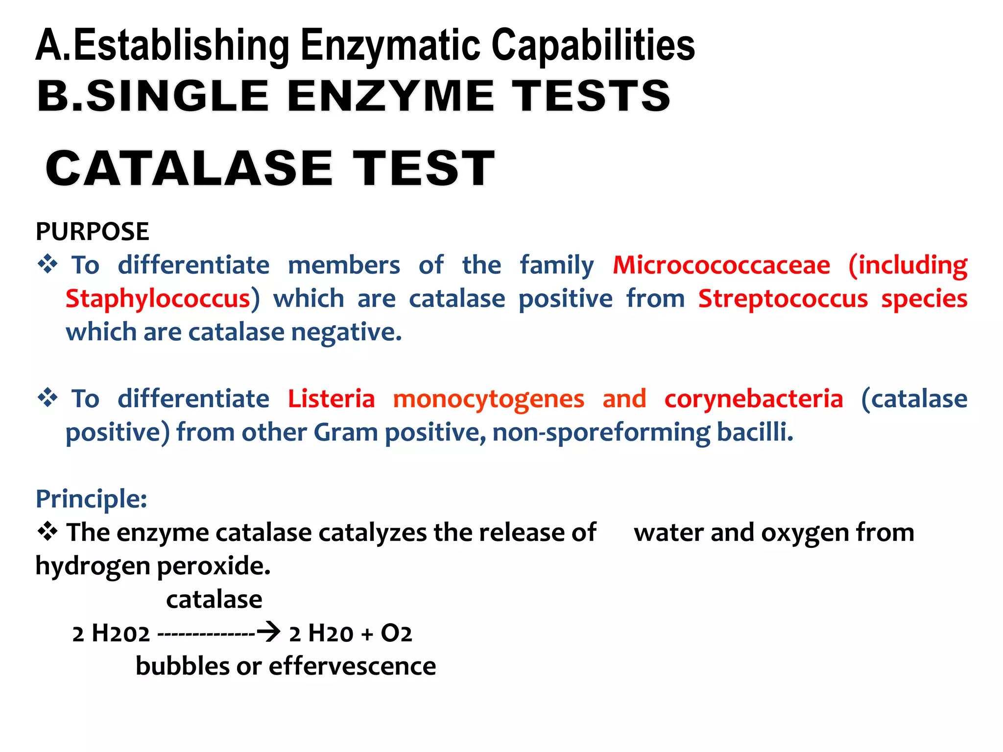 Biochemical tests for identification of bacteria | PPT