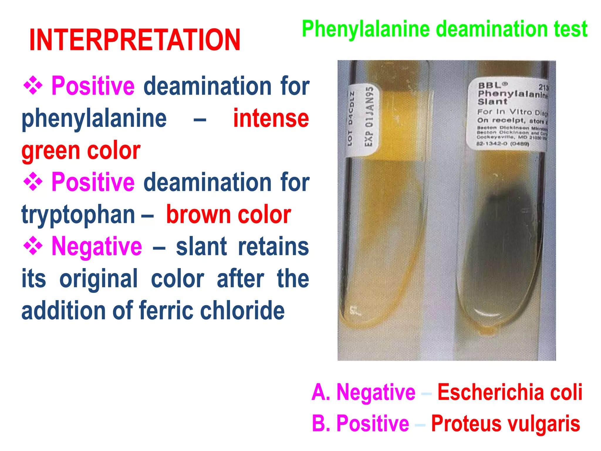 Biochemical tests for identification of bacteria | PPT