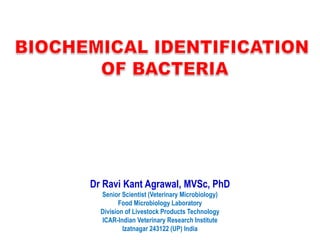 Biochemical tests for identification of bacteria | PPT