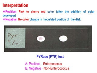 Biochemical tests for identification of bacteria | PPT