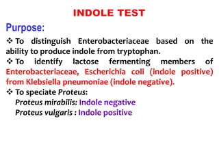 Biochemical tests for identification of bacteria | PPT