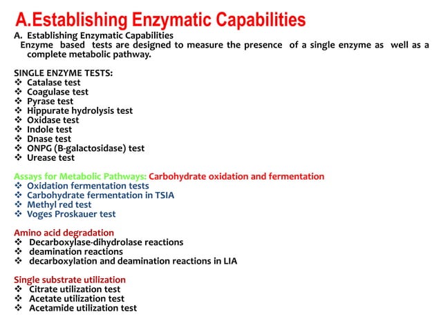 Biochemical tests for identification of bacteria | PPT | Blood ...