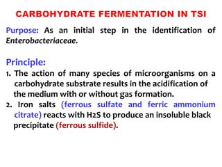 Biochemical tests for identification of bacteria | PPT