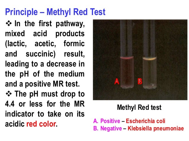 Biochemical tests for identification of bacteria