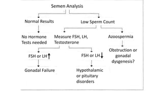 Biochemical tests for infertility | PPTX