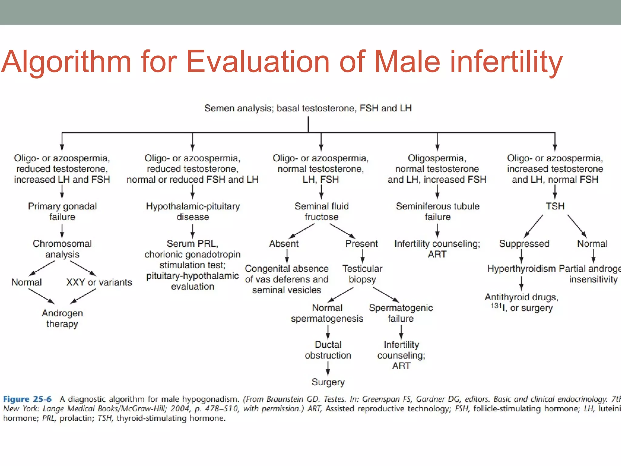 Biochemical tests for reproductive function in male | PPT