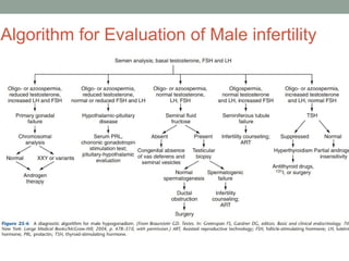 Biochemical tests for reproductive function in male | PPT