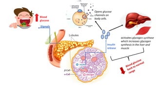 BIOCHEMICAL TESTS OF GLUCOSE IN LAB..pdf