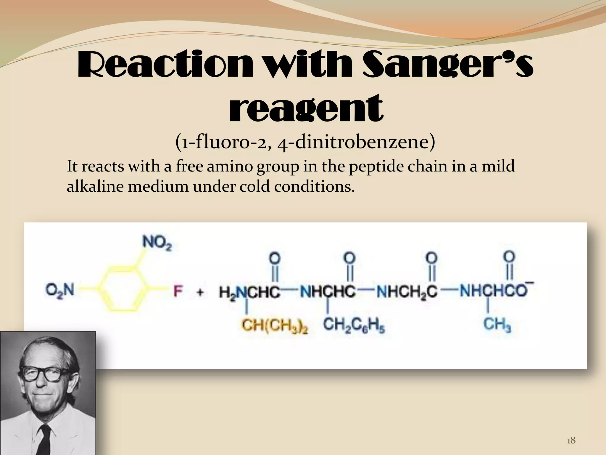 Amino Acids: Structures, Physical and Chemical properties, Groups ...