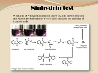 Amino Acids: Structures, Physical and Chemical properties, Groups ...