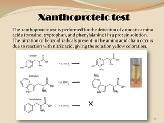 Amino Acids: Structures, Physical and Chemical properties, Groups ...
