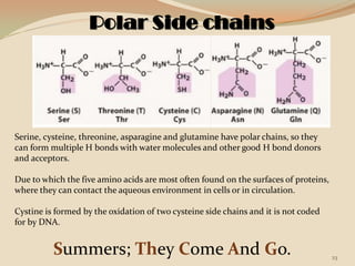 Amino Acids: Structures, Physical and Chemical properties, Groups ...