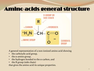 Amino Acids: Structures, Physical and Chemical properties, Groups ...