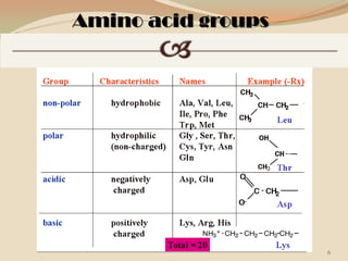 Amino Acids: Structures, Physical and Chemical properties, Groups ...