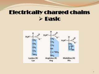 Structure Of Aspartic Acid With R Group